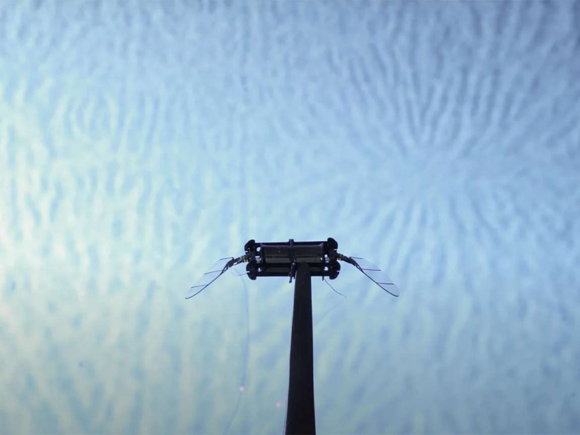 Small miracles: micro robots and their application - LeoTronics Robotics